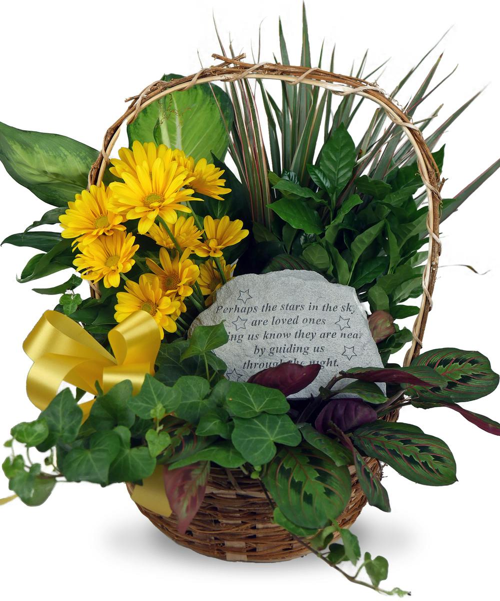 Stepping Stone Planter | McNamara Florist & Greenhouse